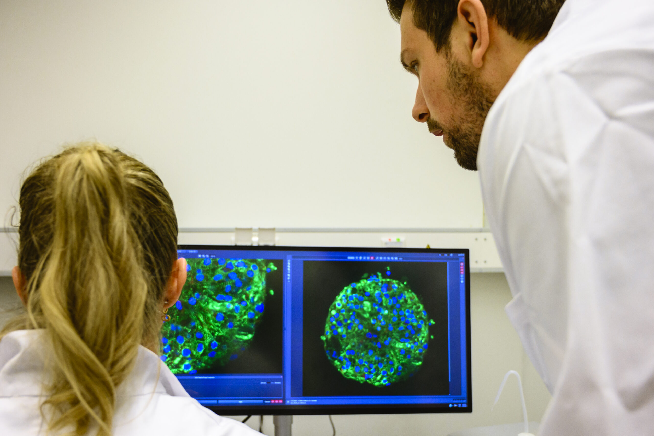 In pursuit of better disease models - Research at UMC Utrecht