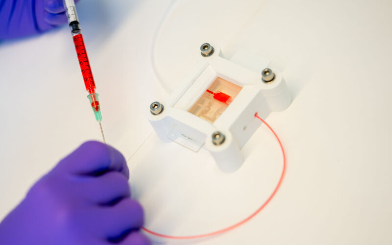 Regenerative Medicine & Stem Cells - Research at UMC Utrecht