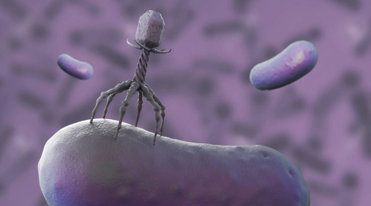 Alternatives to antibiotics: Adapting phages to overcome bacterial ...
