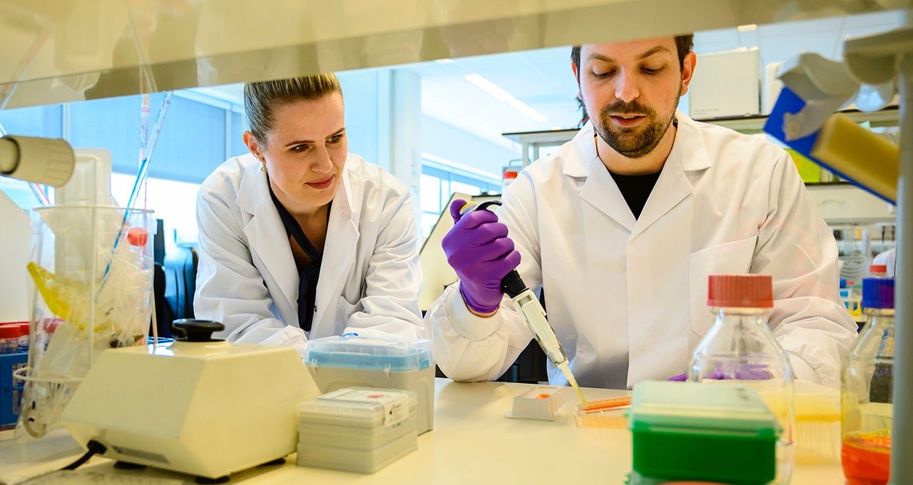 New partnership accelerates the development of new cancer therapies ...