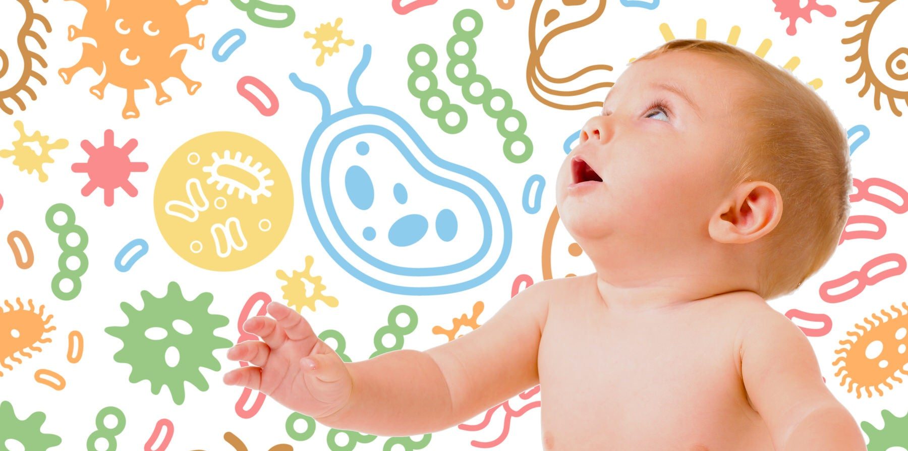 Antibiotics after birth affects gut microbes of babies, study finds ...