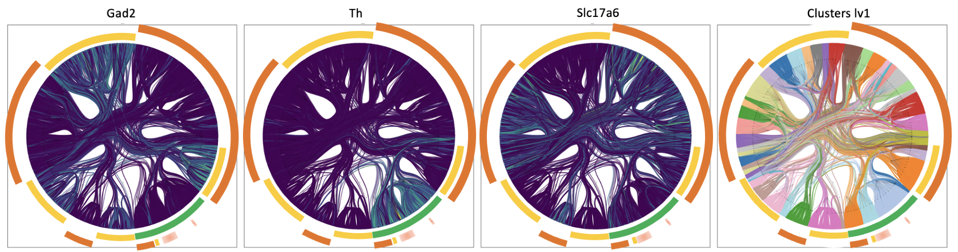 Single-cell genomics - Research at UMC Utrecht