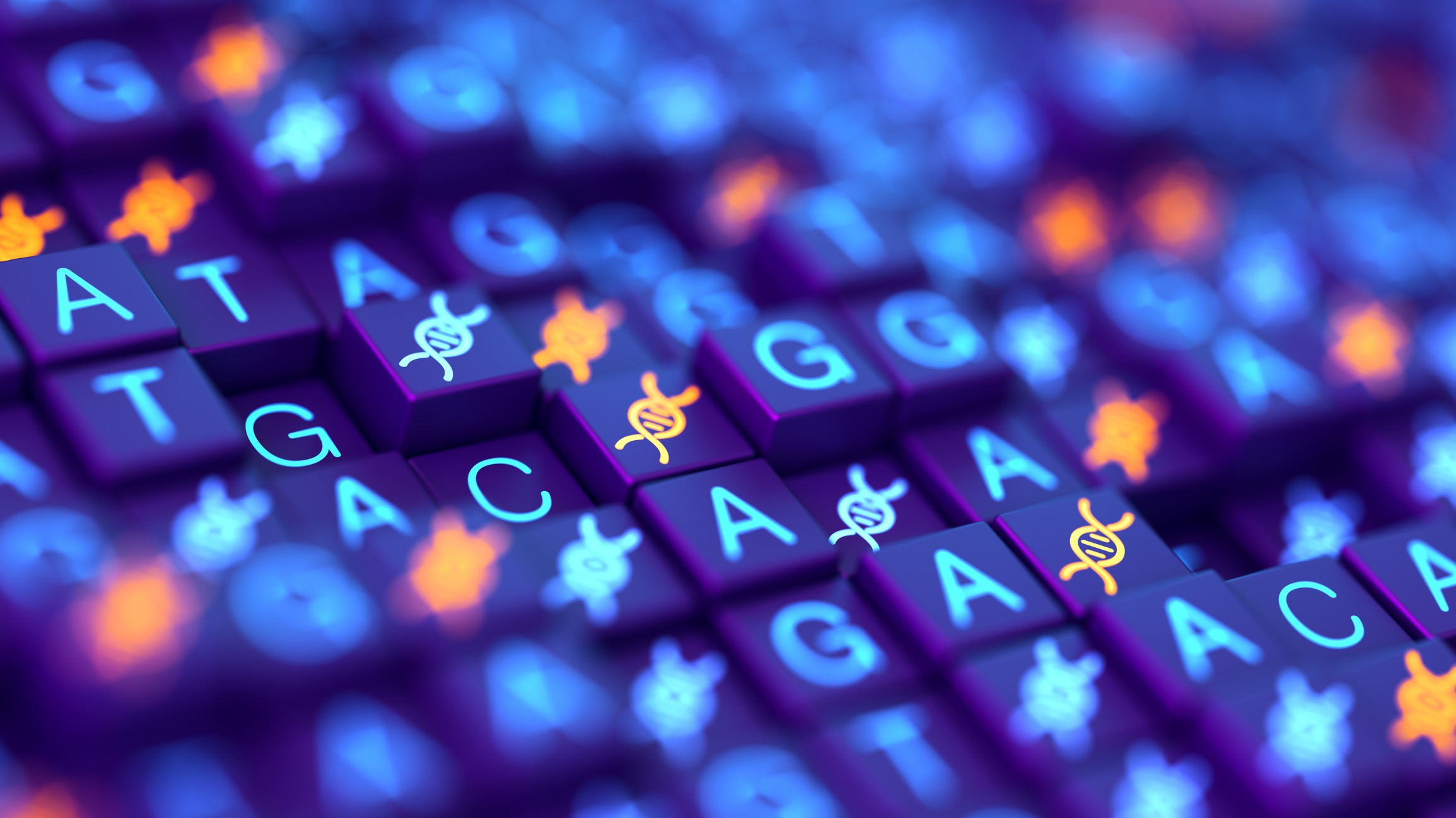 Unraveling the farm-to-human pathways of antimicrobial resistance ...