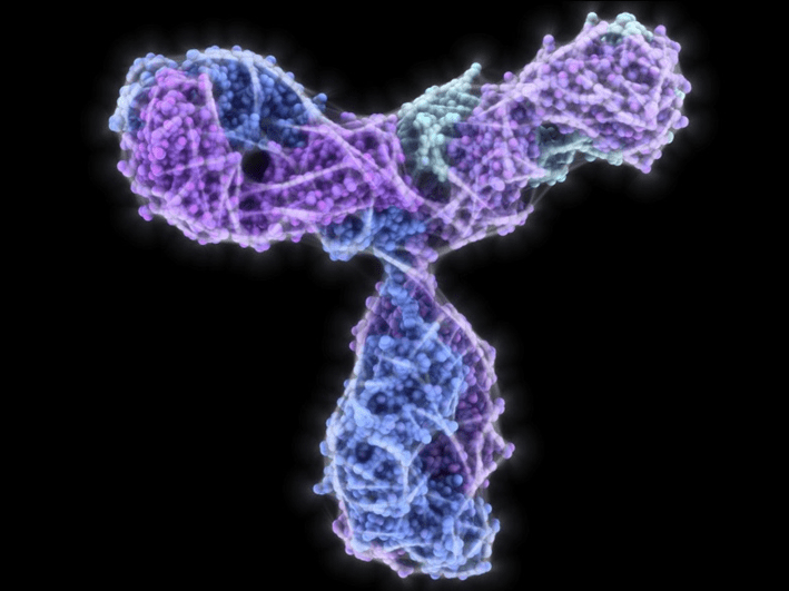 Utrecht Monoclonal Antibody Facility (UMAB) - Research at UMC Utrecht